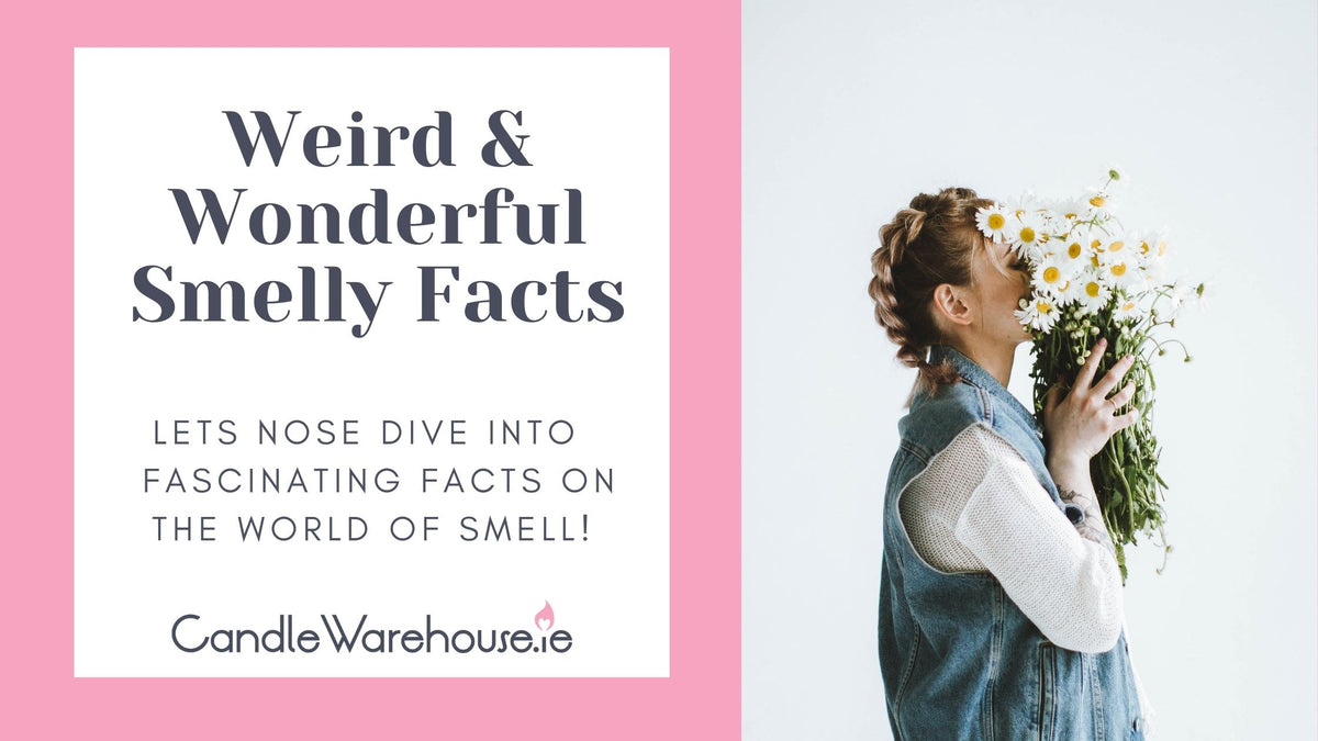 Weird & Wonderful Smell Facts | CandleWarehouse.ie