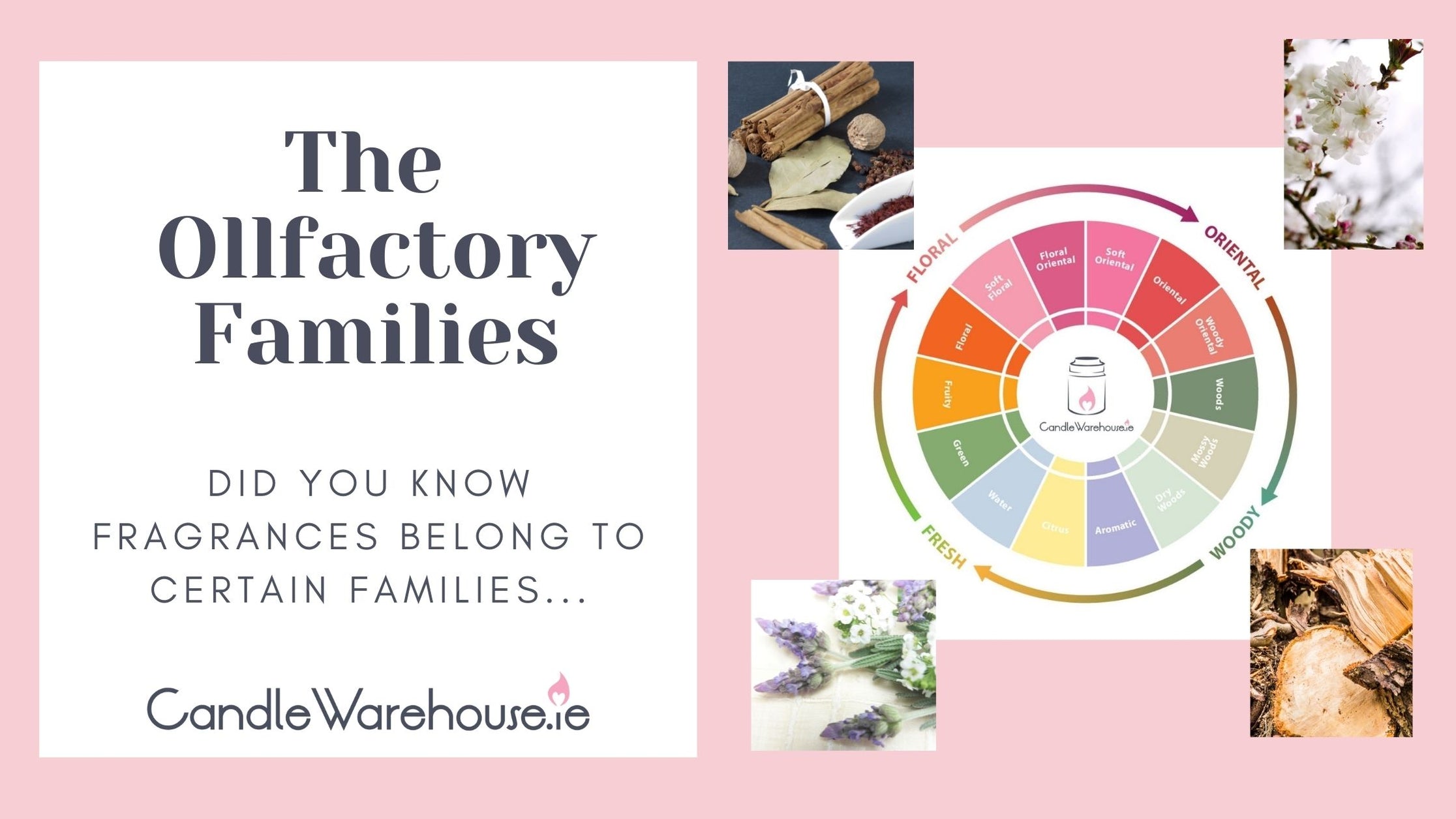 The Ollfactory Families Explained | CandleWarehouse.ie